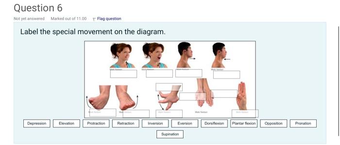 Label the special movement on the diagram. Question | Chegg.com