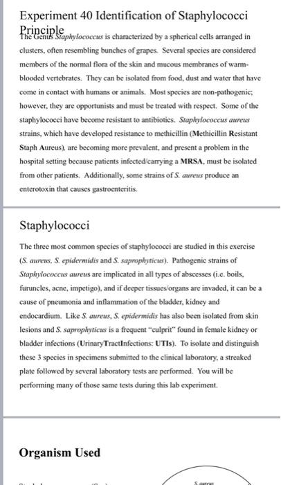 Solved Experiment 40 - Identification of Staphylococci | Chegg.com