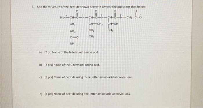 Solved 5. Use the structure of the peptide shown below to | Chegg.com