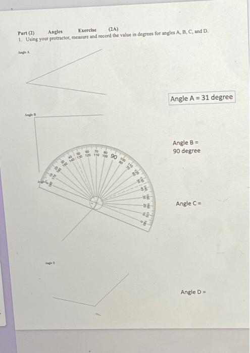 Solved Part (2) ADgles Exercise (2A) 1. Using your | Chegg.com