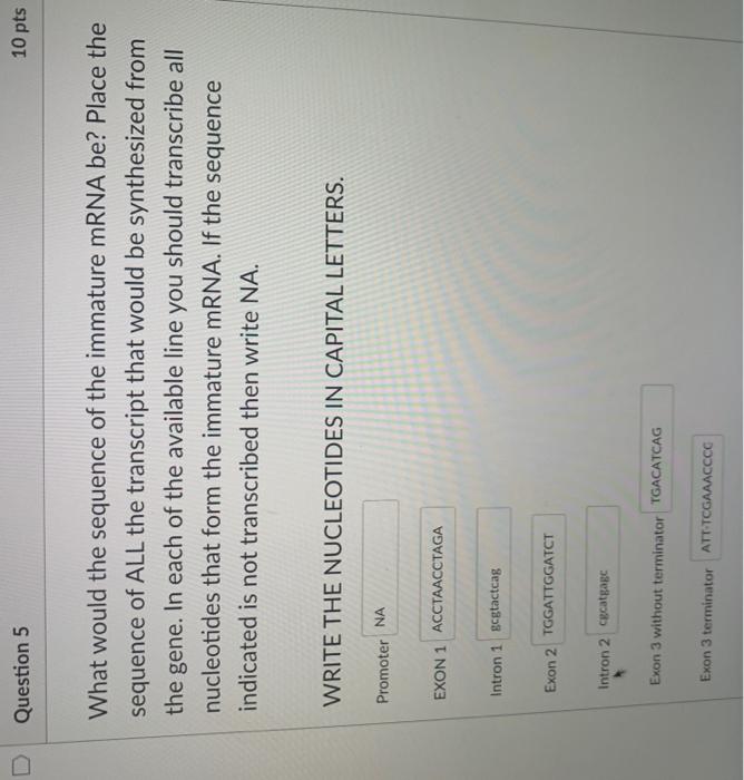 Solved The following eukaryotic DNA sequence is a made up | Chegg.com