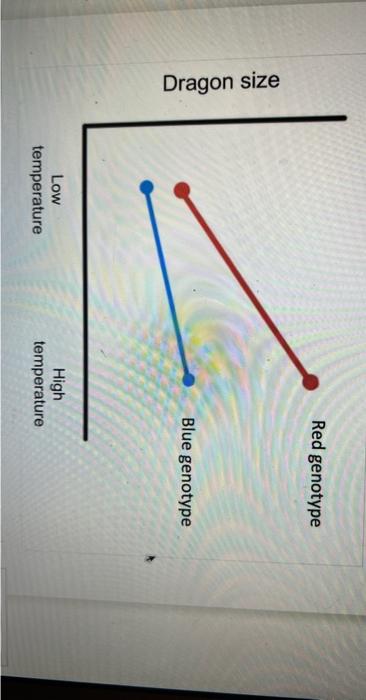 Solved There are two dragon strains - the red strain (red | Chegg.com