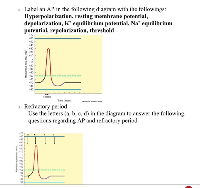 Solved 8) Label an AP in the following diagram with the | Chegg.com