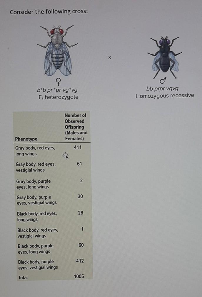 Solved 2 In This Example We Will Consider Fruit Flies That 0943
