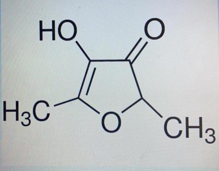 Solved НО О: H3C CH3 | Chegg.com
