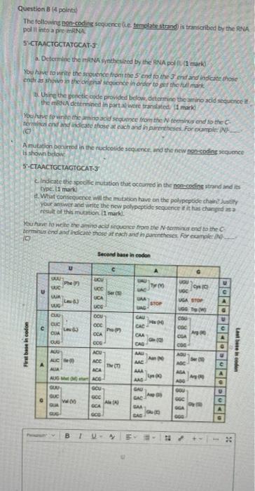 Solved Question B 14 points The following non-coding | Chegg.com