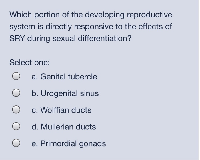 Solved Which portion of the developing reproductive system | Chegg.com