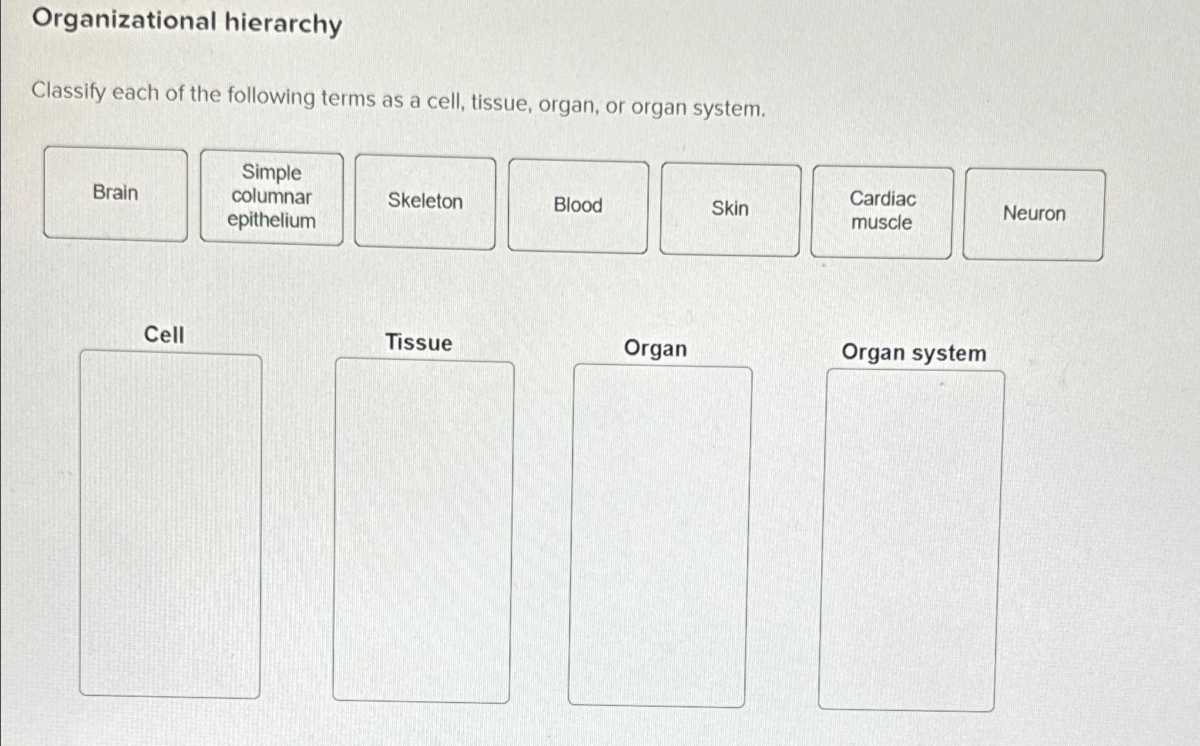 Solved Organizational hierarchyClassify each of the | Chegg.com