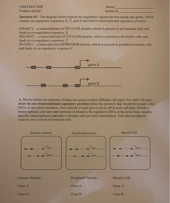 Solved F2023 BIOL 2300 Name Problem Set 112 Section Question | Chegg.com Solved F2023 BIOL 2300 Name Problem Set 112 Section Question | Chegg.com