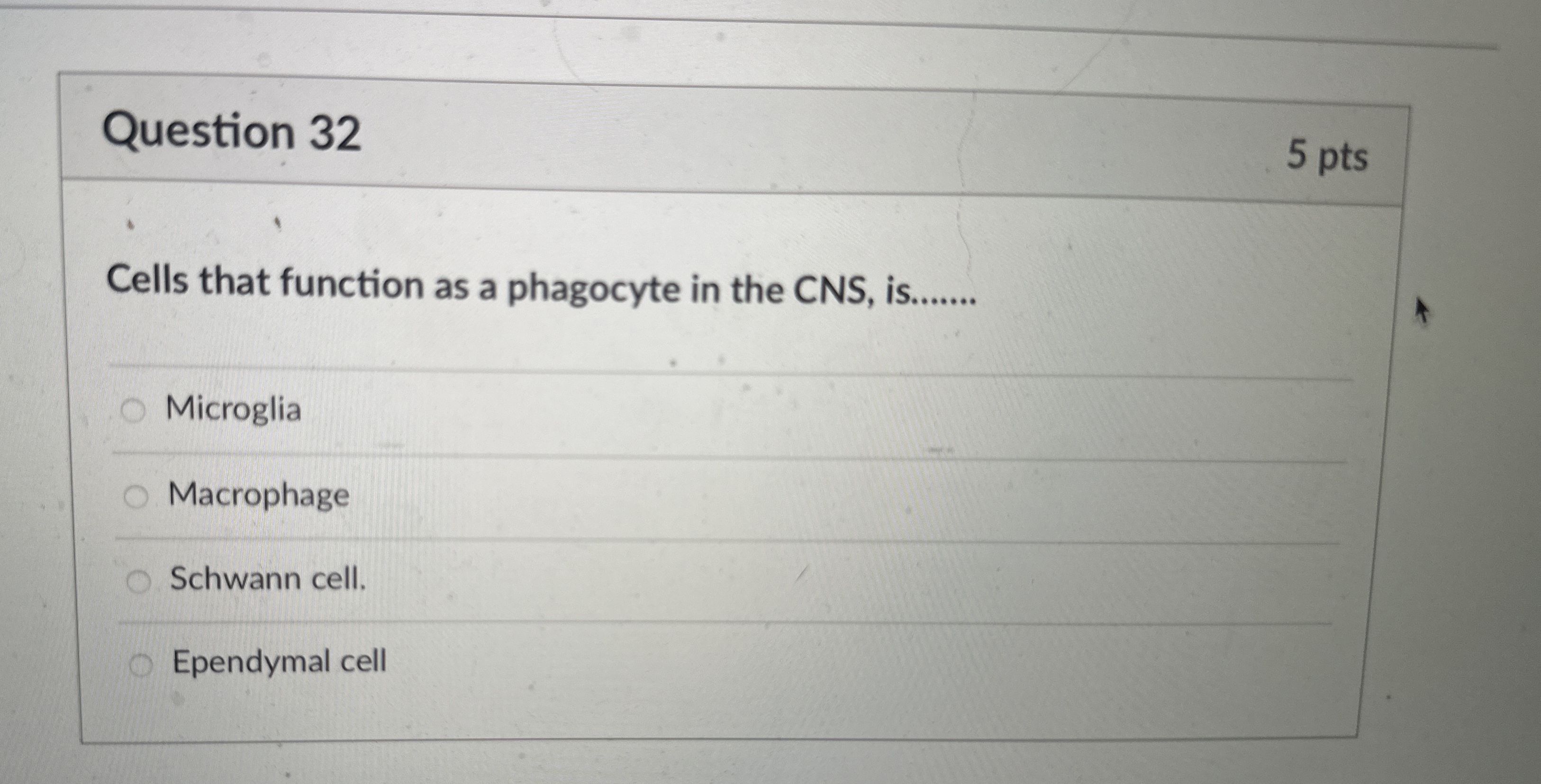 Solved Question 325 ﻿ptsCells that function as a phagocyte | Chegg.com