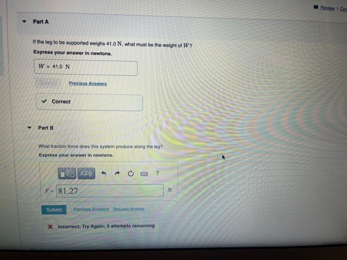 Solved In order to prevent muscie contraction from | Chegg.com