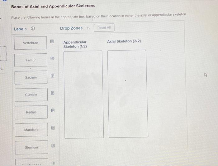 Solved Bones of Axial and Appendicular Skeletons Place the | Chegg.com