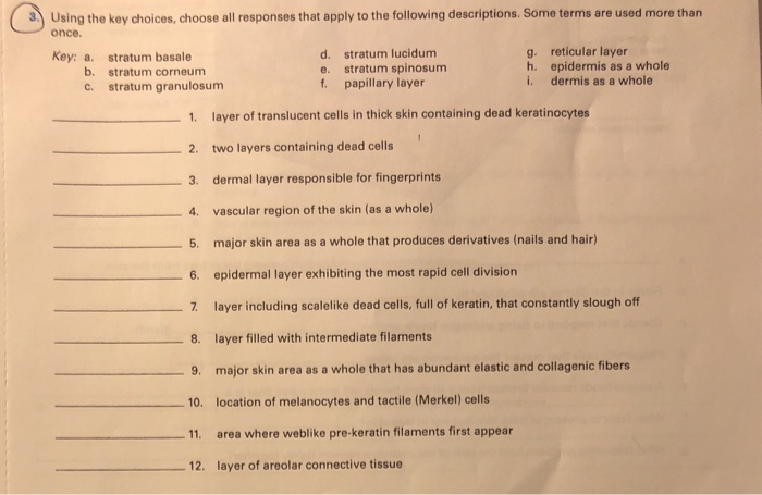 Solved Using the key choices, choose all responses that | Chegg.com