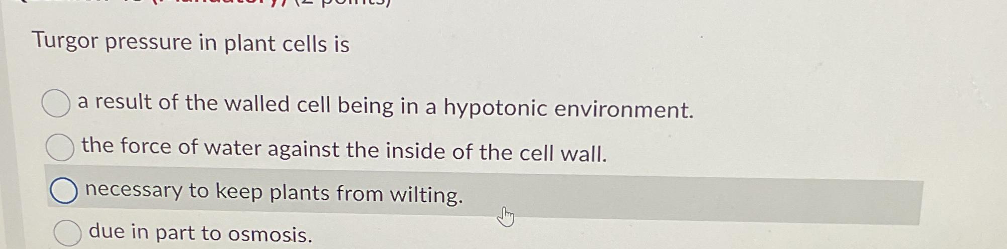 Solved Turgor pressure in plant cells is a result of the | Chegg.com