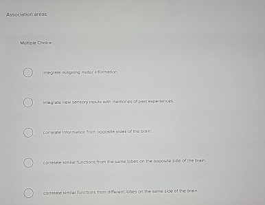 Solved Association areasMulple Chol:Imegrate outrgol-q molor | Chegg.com