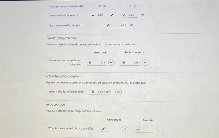Solved DHUTED CONCENTRATION Now, calculate the diluted | Chegg.com
