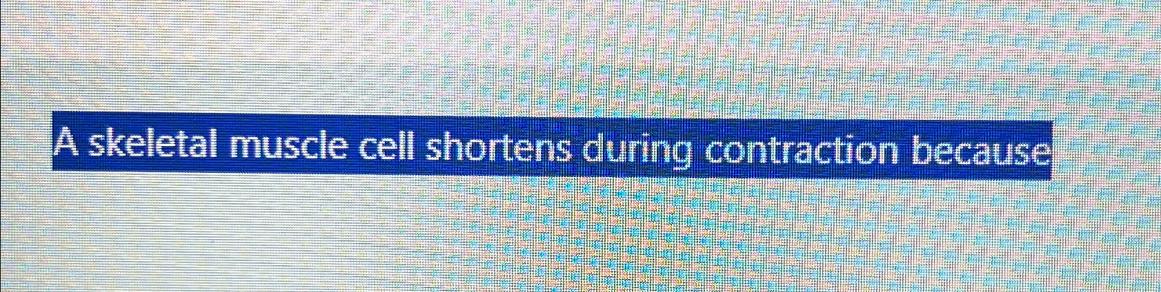 Solved A skeletal muscle cell shortens during contraction | Chegg.com
