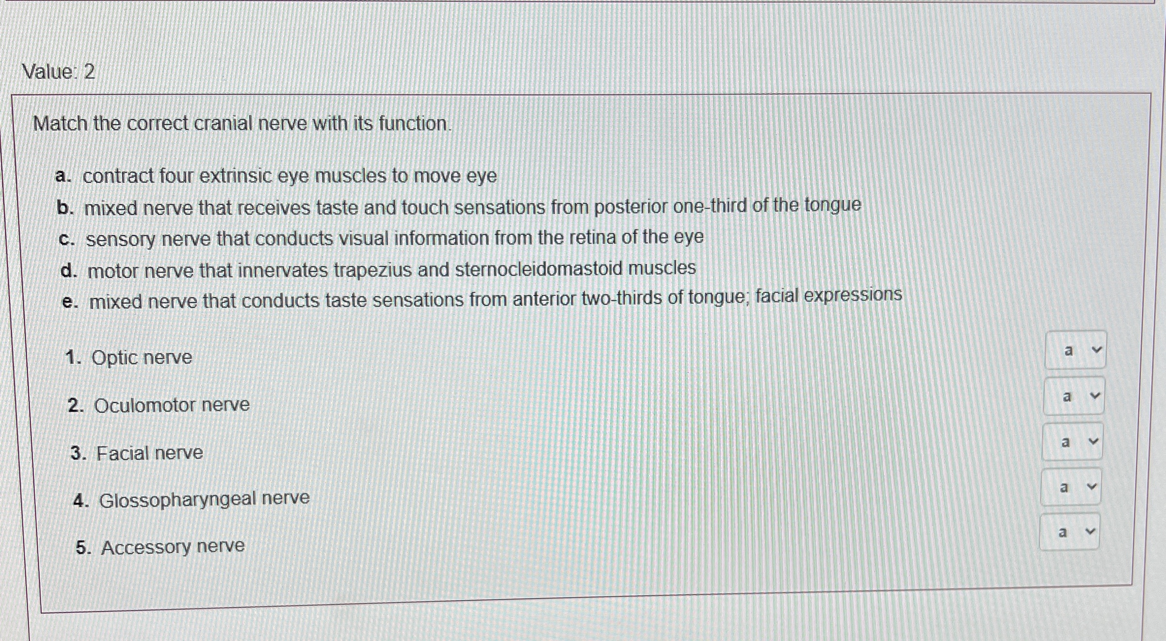 Solved Value: 2Match the correct cranial nerve with its | Chegg.com