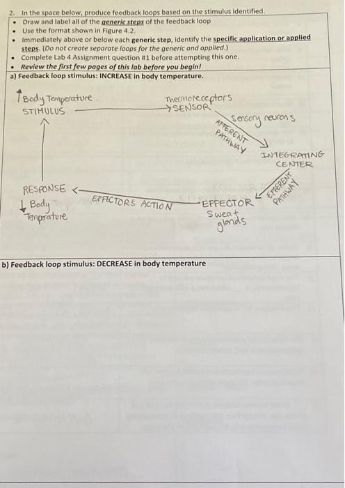 Solved 2. In the space below, produce feedback loops based | Chegg.com