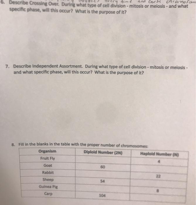 Solved time CA chromosom 6. Describe Crossing Over. During | Chegg.com