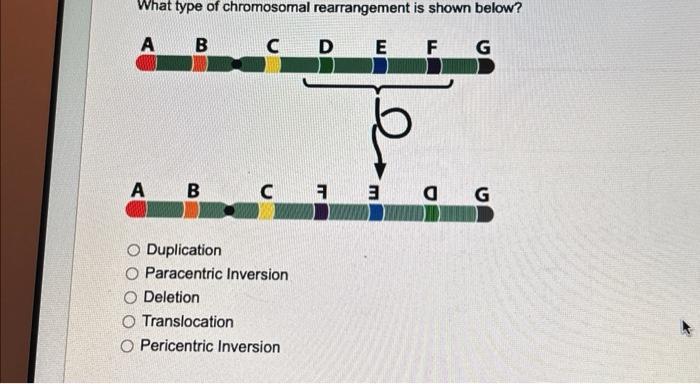 Solved What type of chromosomal rearrangement is shown | Chegg.com