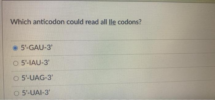 Solved Which anticodon could read all lle codons? 5'-GAU-3 O | Chegg.com