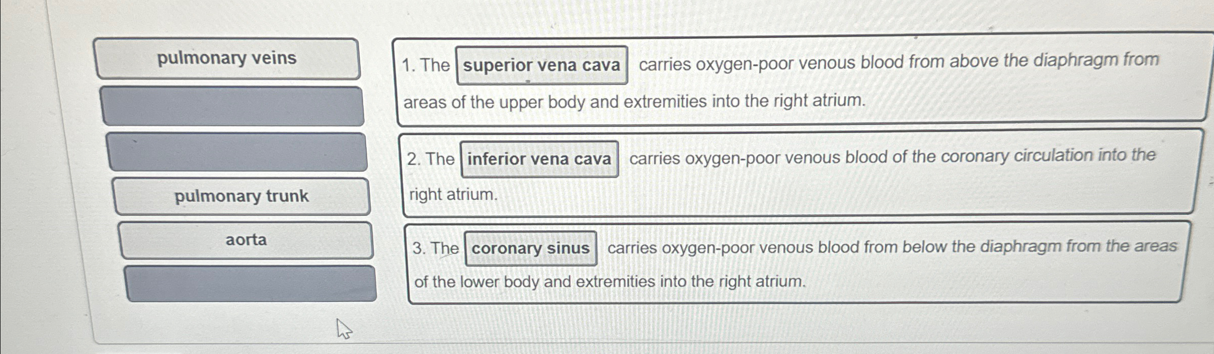 Solved pulmonary trunkaortaaortaThe q, ﻿carries oxygen-poor | Chegg.com