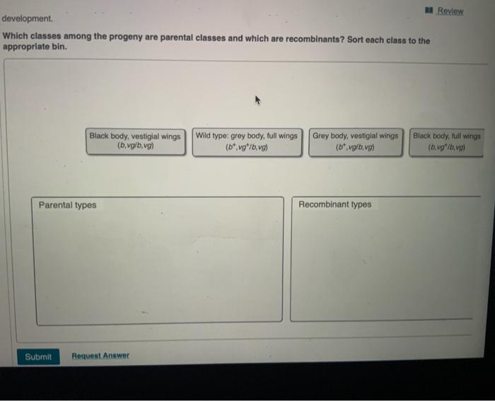 Solved Review development Which classes among the progeny | Chegg.com
