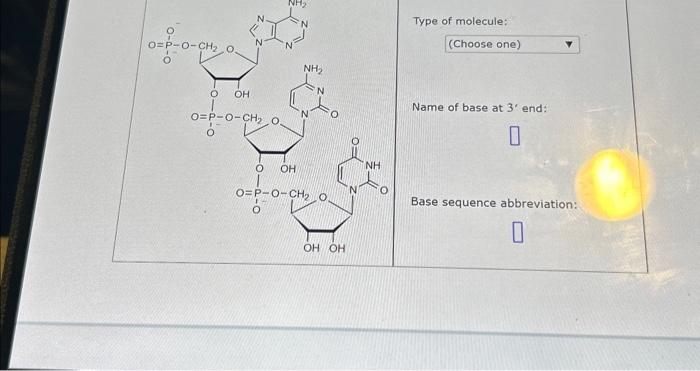 For each molecule in the table below: - Classify the | Chegg.com