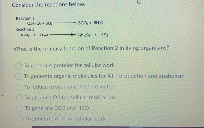 Solved Consider the reactions below. 6CO2 + 6H20 Reaction 1 | Chegg.com