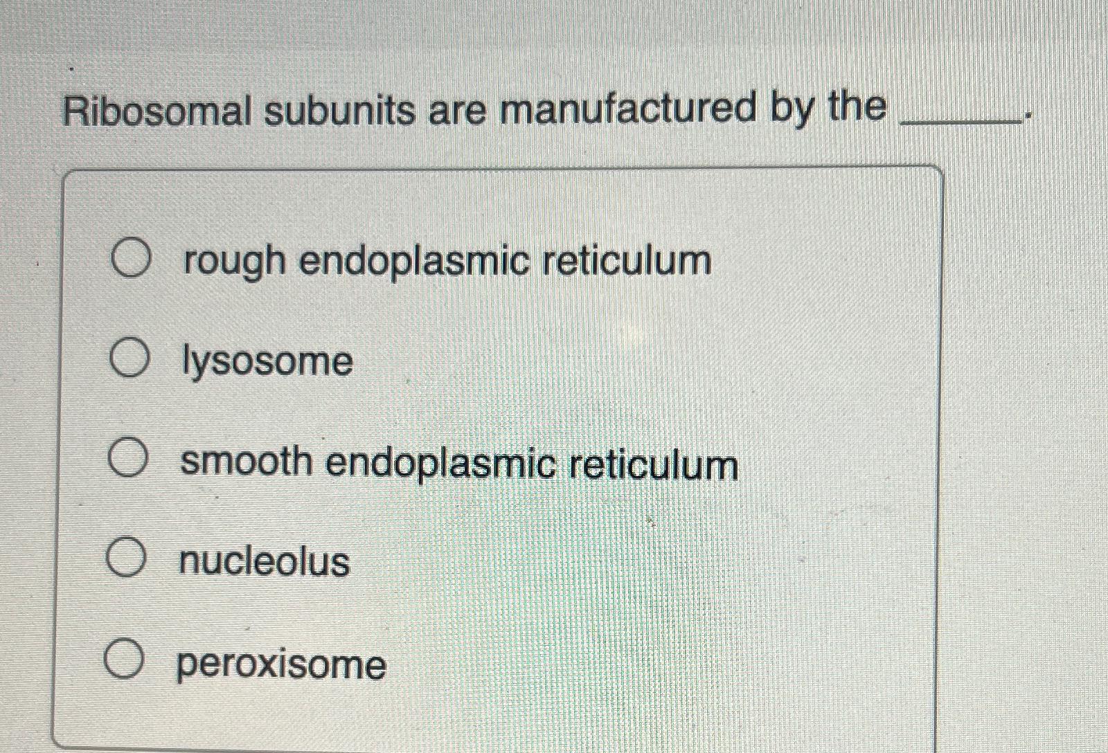 Solved Ribosomal subunits are manufactured by therough | Chegg.com