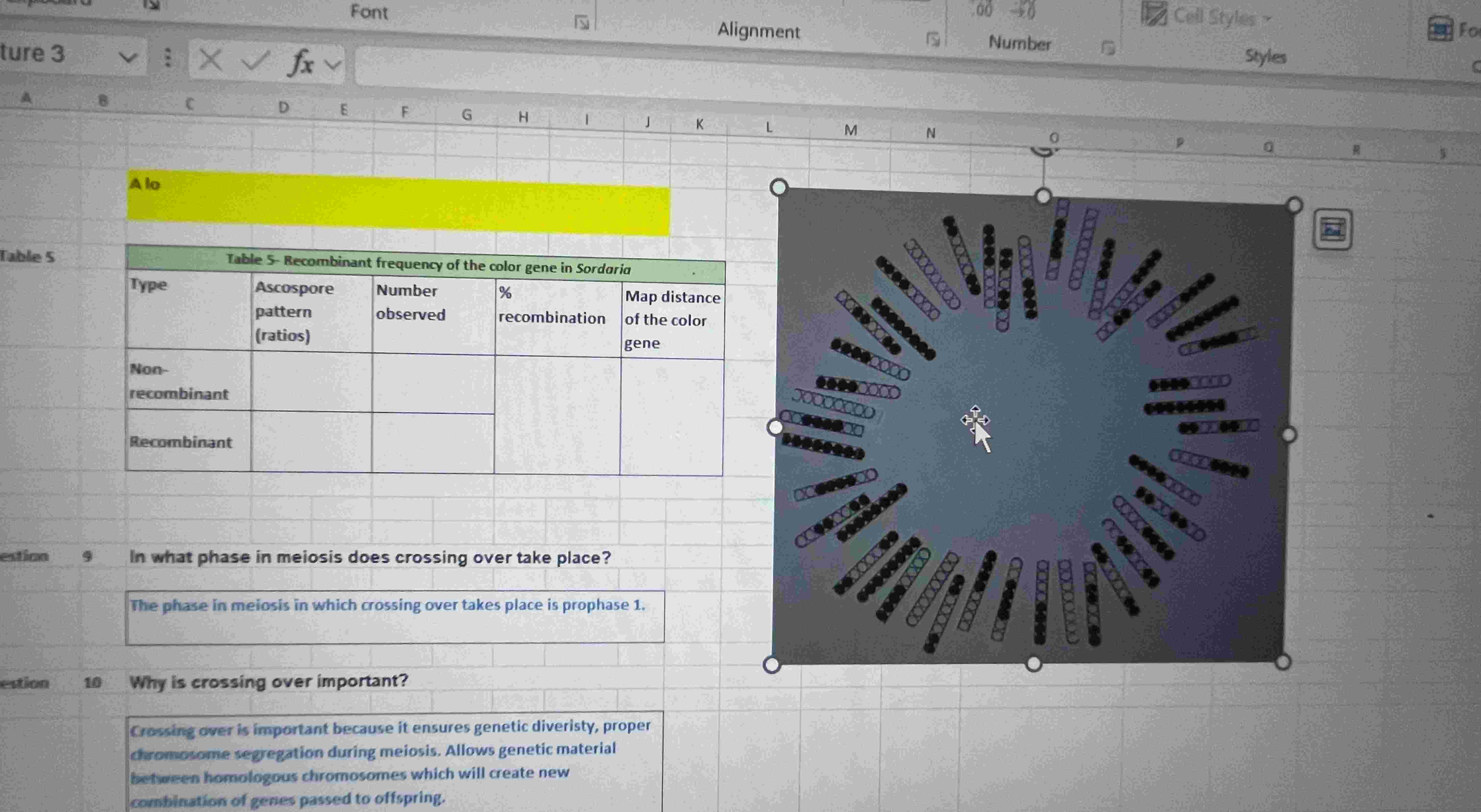 Solved Ascospore pattern (ratios) ﻿Number observed % | Chegg.com