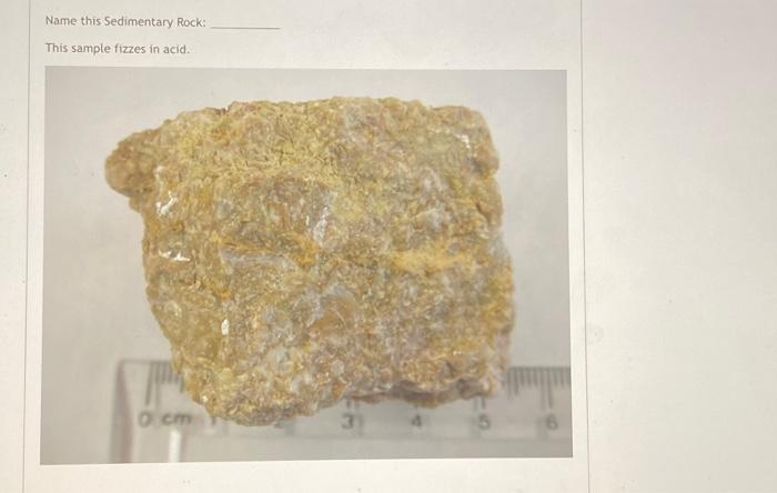 Solved Determine which type of sedimentary rock this sample | Chegg.com