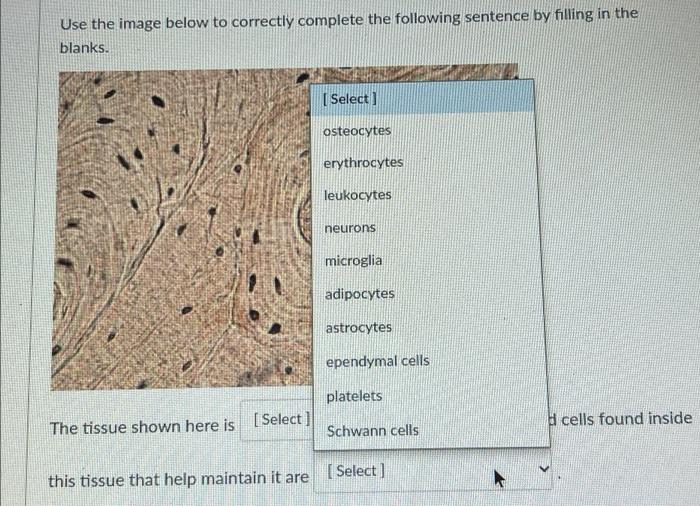 Solved Use the image below to correctly complete the | Chegg.com