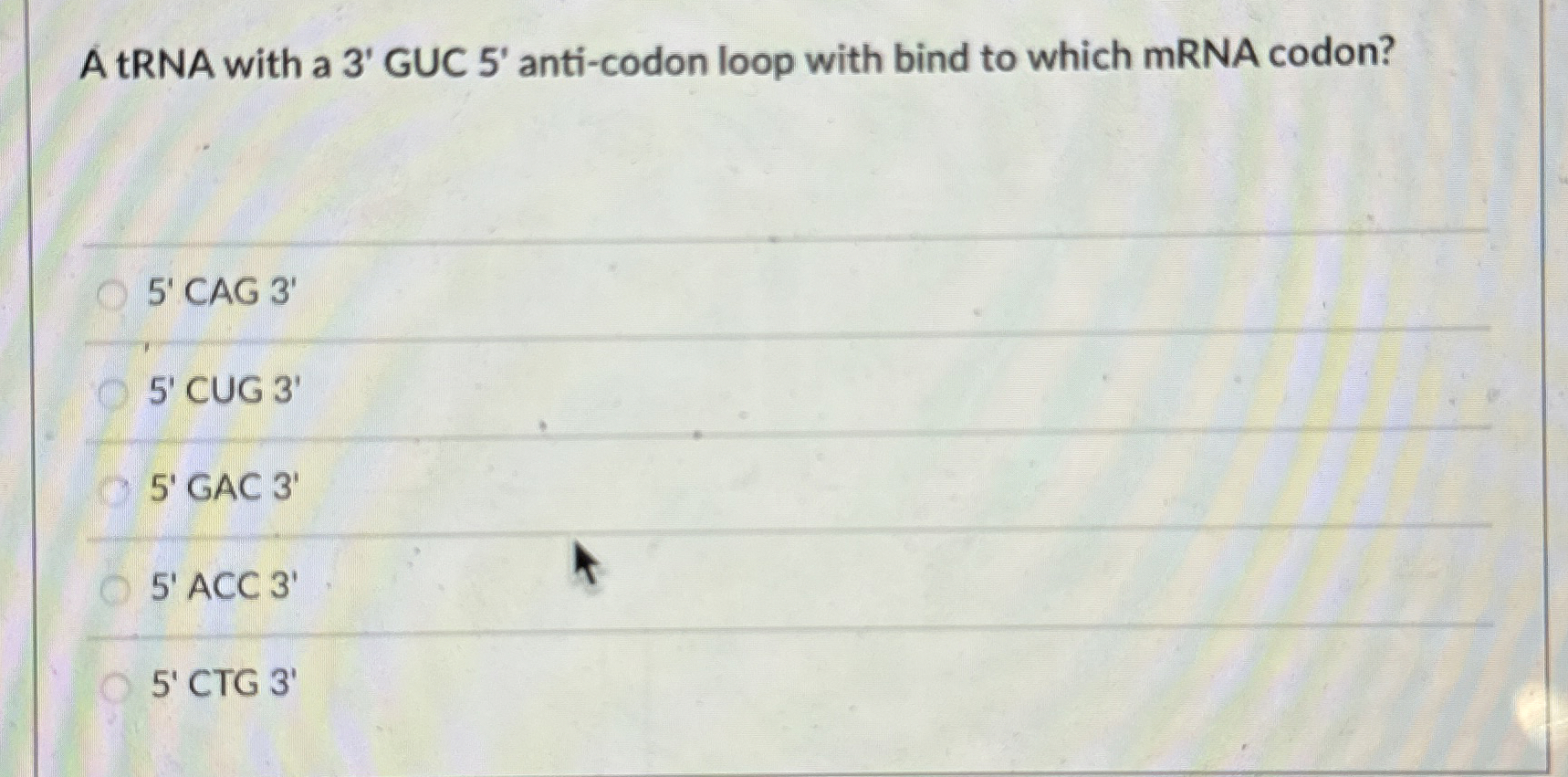 Solved A tRNA with a 3' ﻿GUC 5' ﻿anti-codon loop with bind | Chegg.com