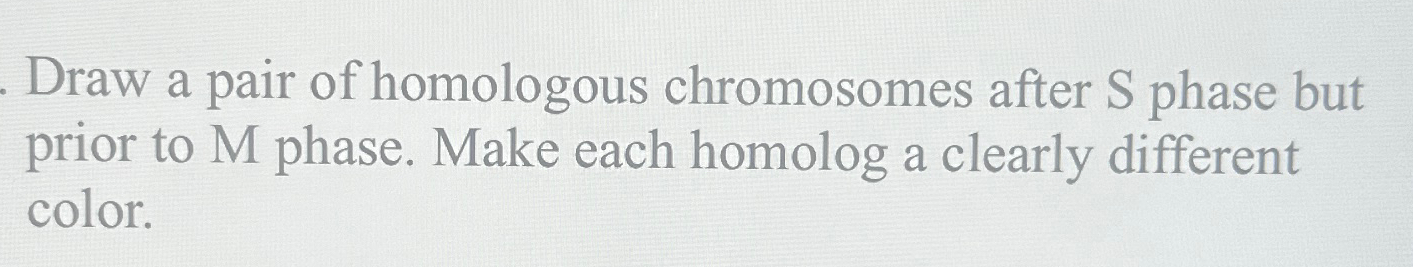Solved Draw a pair of homologous chromosomes after S ﻿phase | Chegg.com