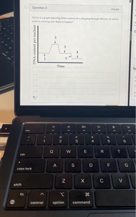 Solved Below is a graph depicting DNA content of a cell | Chegg.com