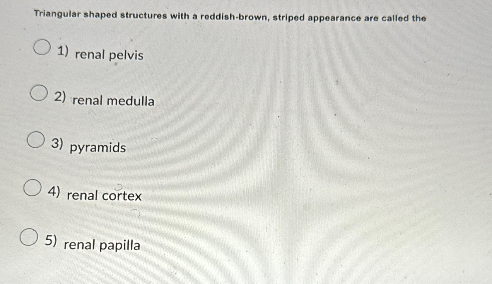 Solved Triangular shaped structures with a reddish-brown, | Chegg.com