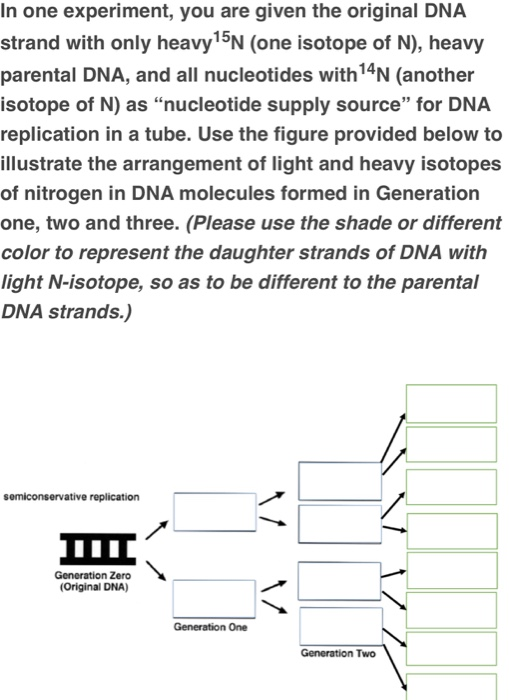 Solved In one experiment, you are given the original DNA | Chegg.com