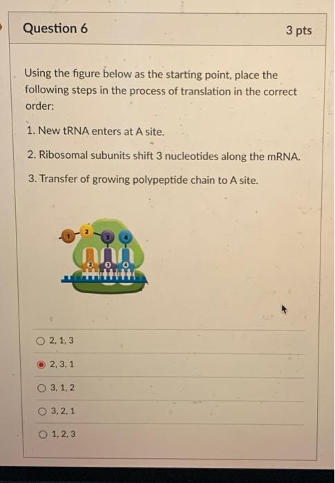 Solved Question 6 3 pts Using the figure below as the | Chegg.com Solved Question 6 3 pts Using the figure below as the | Chegg.com