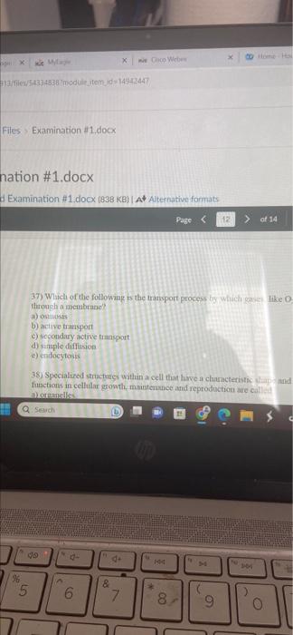 Solved ogin x X Files > Examination #1.docx Hcc MyEagle | Chegg.com