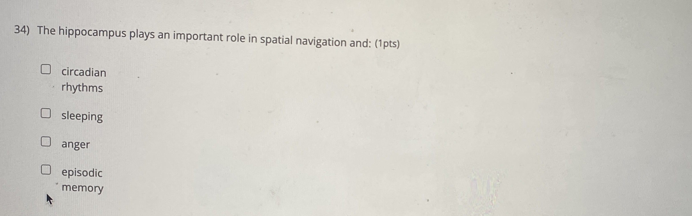 Solved The hippocampus plays an important role in spatial | Chegg.com