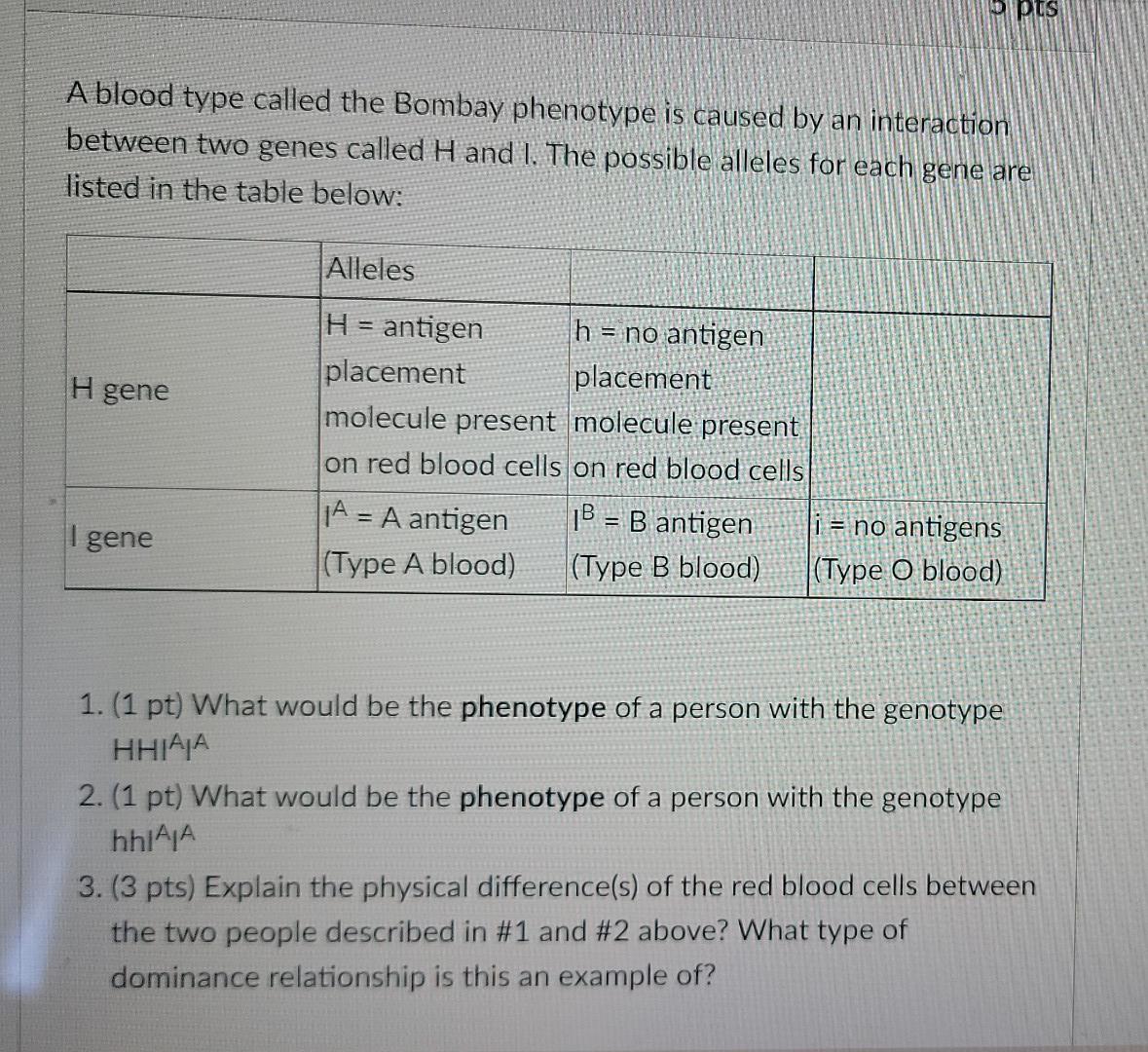 Solved PTS A blood type called the Bombay phenotype is | Chegg.com