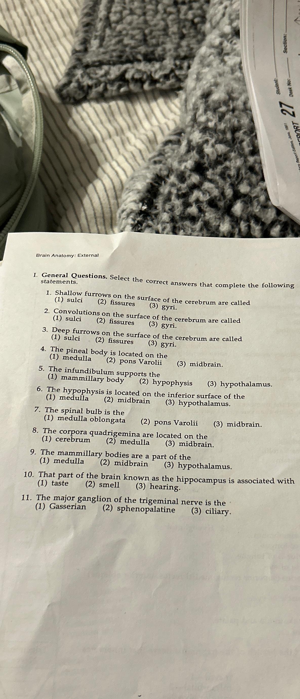 Solved Brain Anatomy: ExternalI. General Questions. Select | Chegg.com