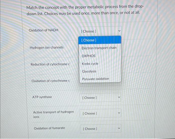 Solved Match the concept with the proper metabolic process | Chegg.com