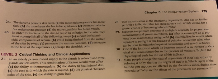 Solved Chapter 5 The Integumentary System 179 26. 25. The | Chegg.com