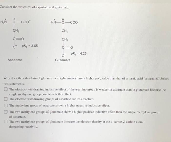 Solved Consider the structures of aspartate and glutamate. | Chegg.com