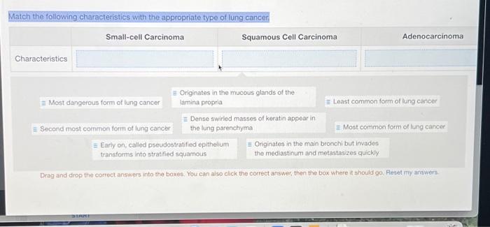 Solved Match the following characteristics with the | Chegg.com