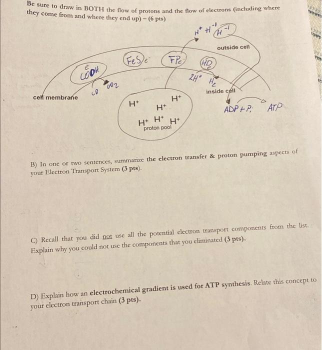 Solved Be sure to draw in BOTH the flow of protons and the | Chegg.com