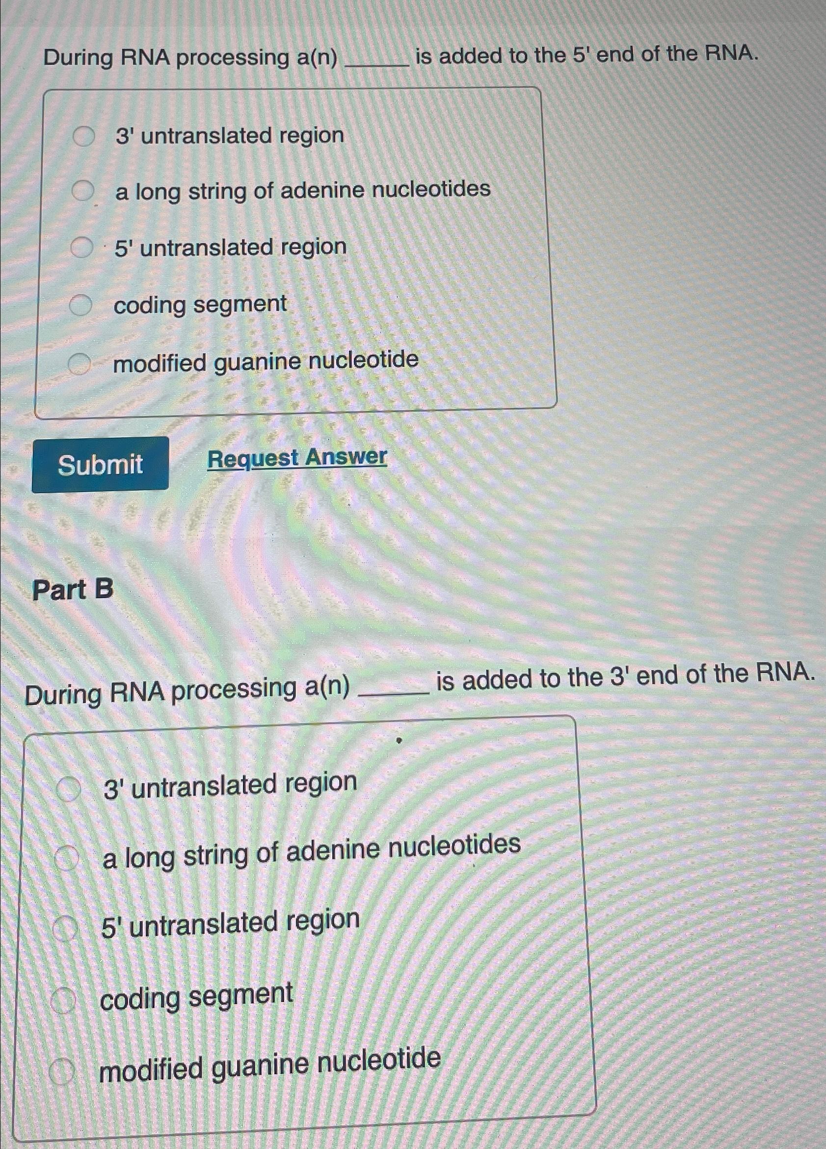 Solved During RNA processing a(n) ﻿is added to the 5' ﻿end | Chegg.com